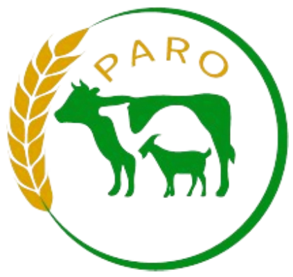 PARO || Home